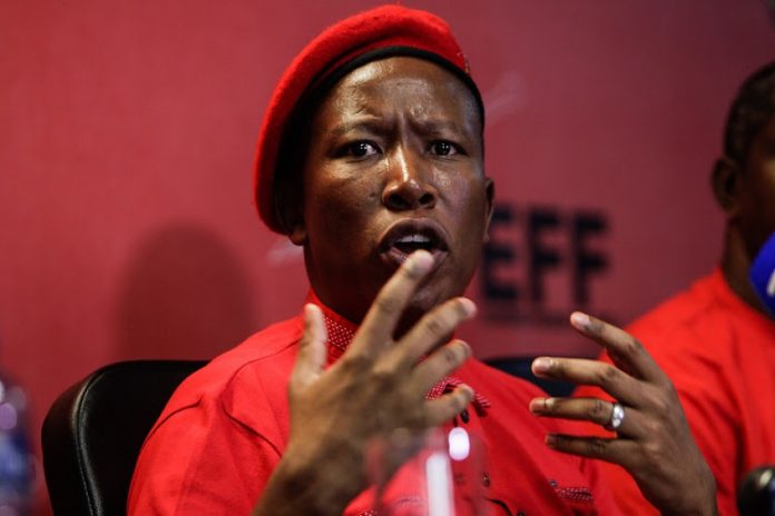 Julius Malema Tells President Museveni To Rest His Over Sized Suits